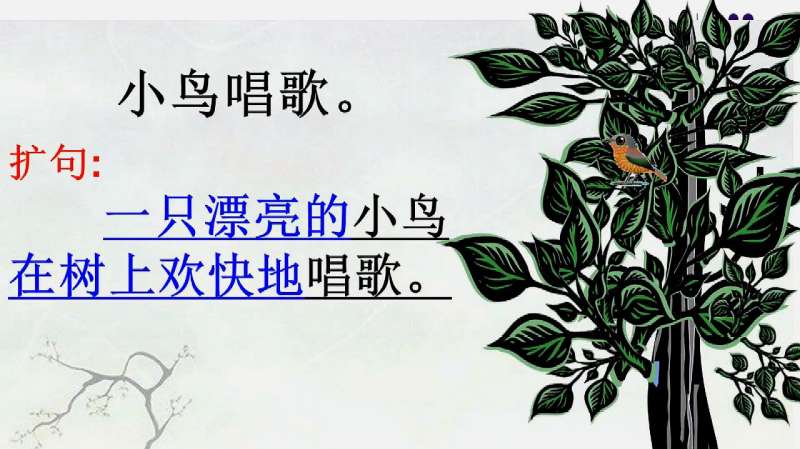 小学语文毕业复习:扩句与缩句课件,知识要点分类总结,适合多看