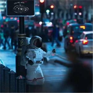 品格高端全屋顶 