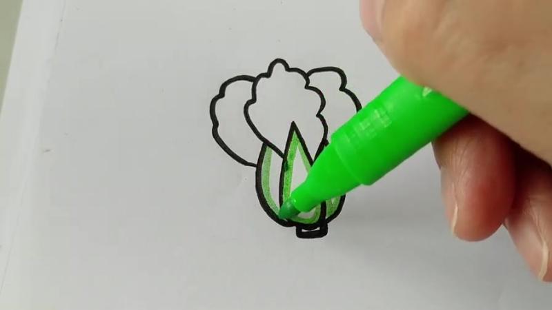 「蔬菜简笔画」今天教宝贝们画一棵大白菜