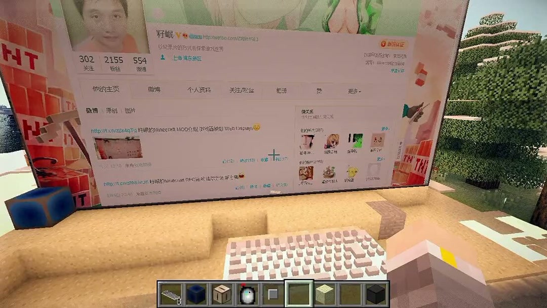 ★我的世界★Minecraft《籽岷的MOD介绍 浏览器模组 续 实
