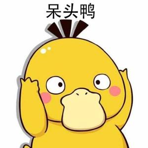 呆头鸭最霸气 