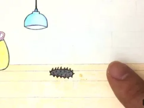 手绘定格动画:纸上厨房制作美食,超治愈动画短片