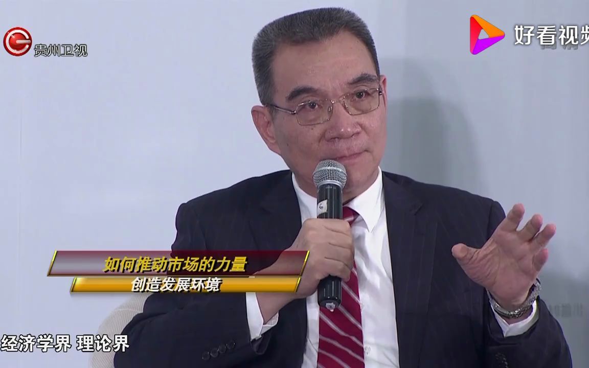 林毅夫:市场与政府的关系是经济发展最关键的决定因素!