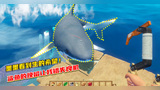 木筏求生2:墨墨看到生的希望!鲨鱼的特殊挽留方式让我错失良机