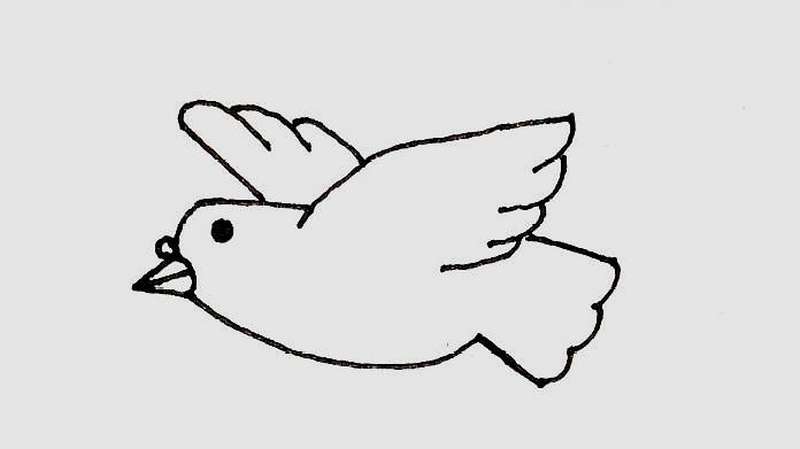 宝宝学画,简单三步画出鸽子