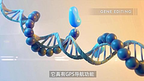 癌症治疗新突破, 获诺贝尔奖的免疫疗法是怎么治愈癌症的
