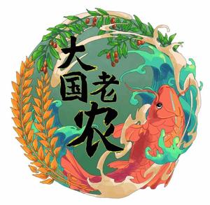 大国老农 