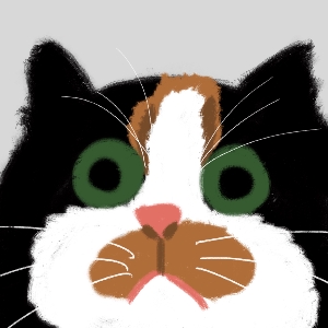 诚风zZ 