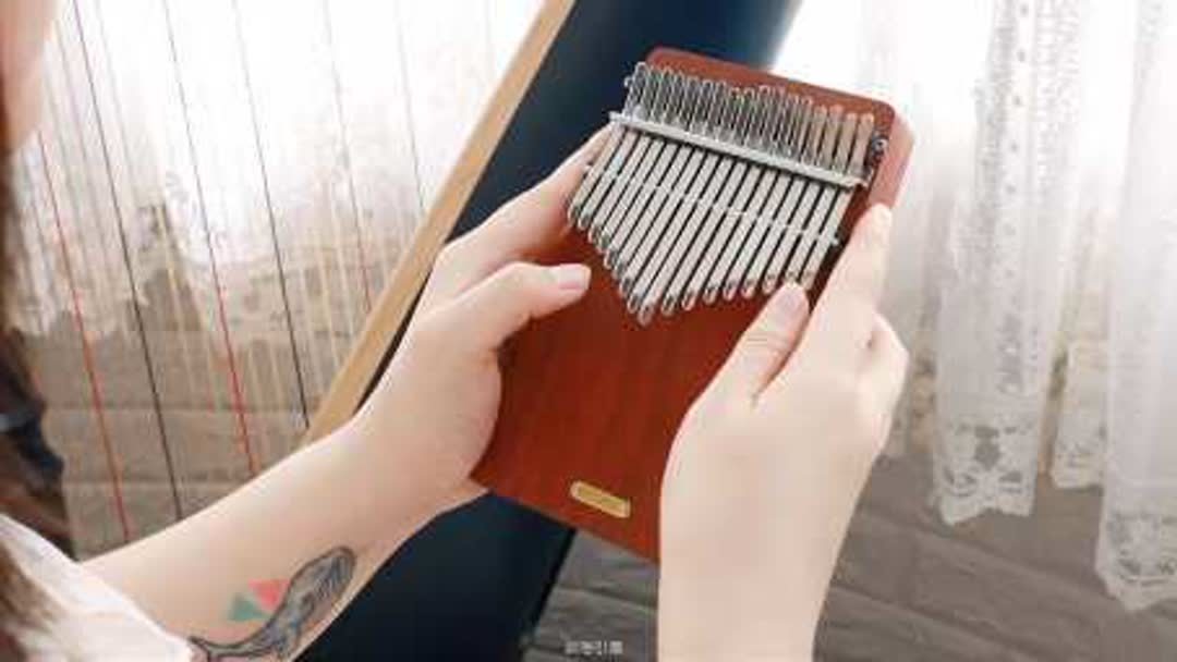 【拇指琴】热爱105度的你