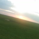 想吃梨的干就完了！ߘ 