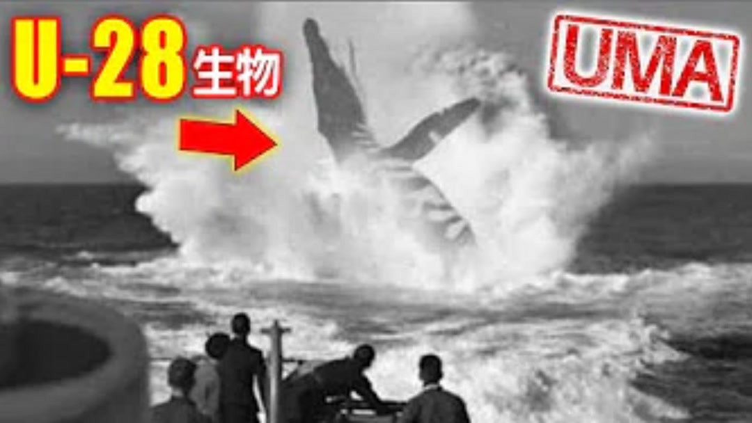 【UMA档案】U-28生物 一战时期德国潜艇遭遇不明巨大生物事件