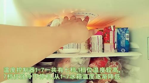冰箱里面这个开关很重要,不然每月多交一半电费