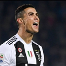 爱踢足球的小虎267 