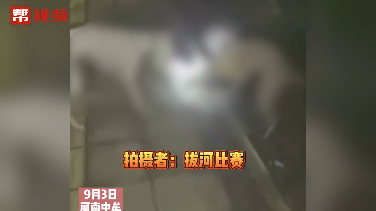 太残忍!两狗咬死流浪猫,男子竟边拍视频边喊:拔河比赛