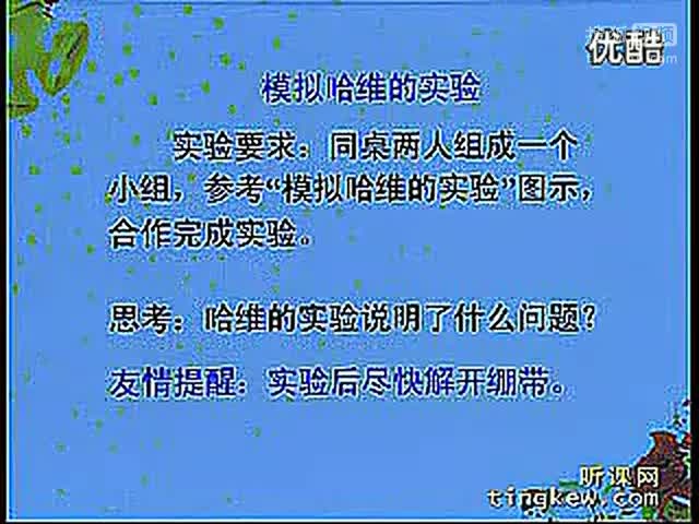 初中生物说课及模拟讲课-血液循环