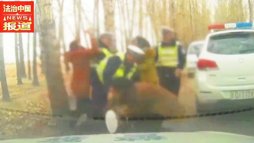 吉林4名女子围殴交警2人拿砖头打辅警,迫于压力17天后自首