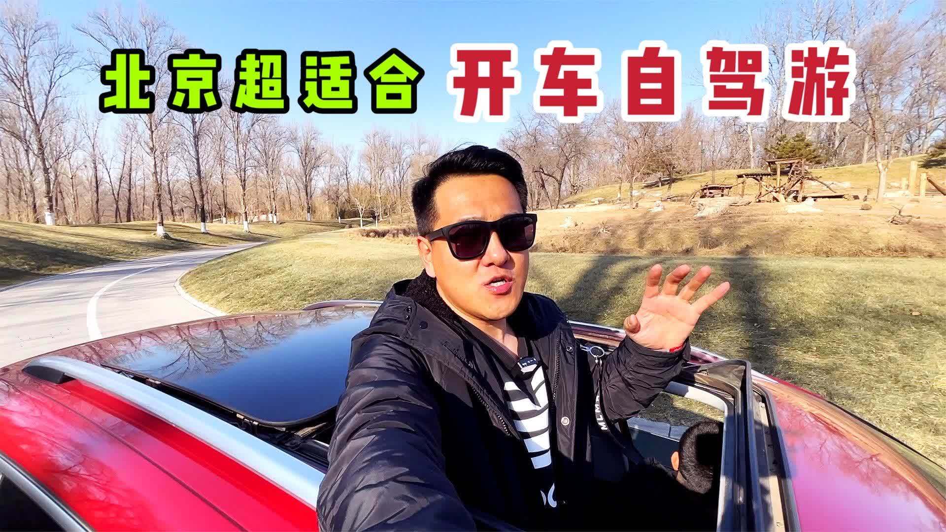 北京自驾游不用下车,就能玩的非常开心,全是野生动物