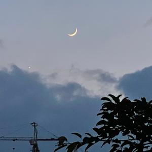 川滇汽车搬运宫 