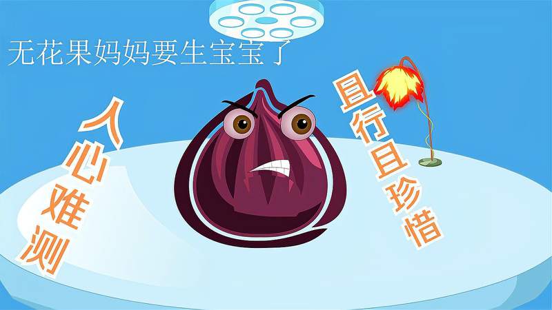 情感动画,无花果妈妈要生宝宝了吗?