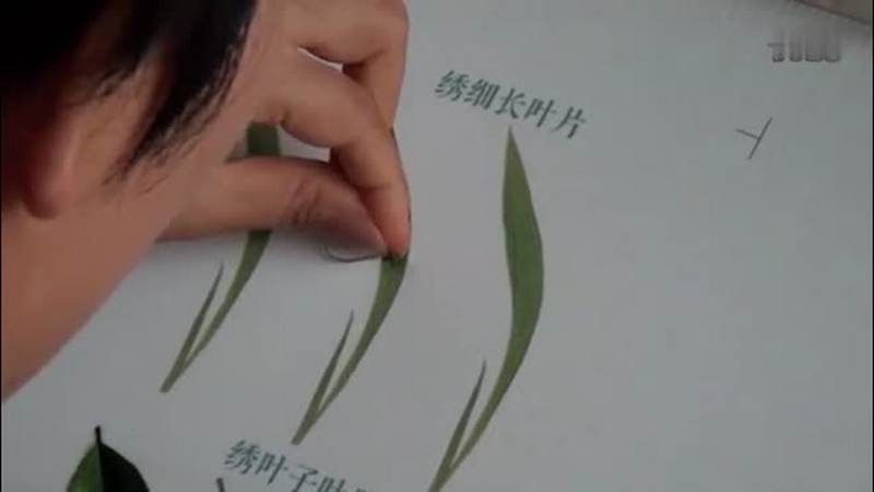 苏绣针法教程_平针绣细长叶子