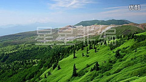 W642 夏天绿色森林清晨山林山间公路森林公园环保宣传片视频素材