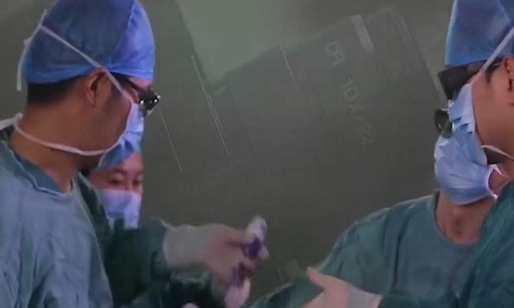 手术时被切掉的那些器官,都被医生拿去干什么了?