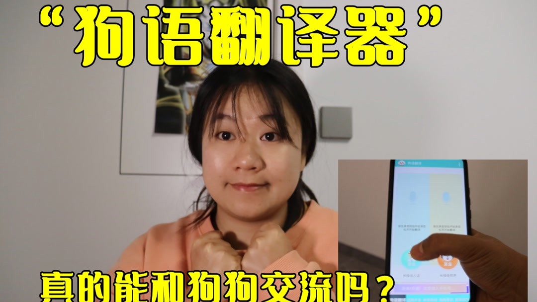 狗语翻译器挑战,我说的话能翻译成狗狗语言,小狗狗听懂了?