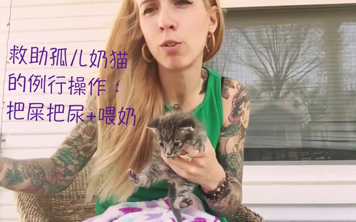 ...操作:把屎把尿+喂奶 - 【复习向】【油管转载】Orphaned Kitten Routine