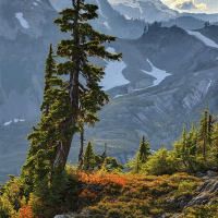 剪绡零碎点酥乾 