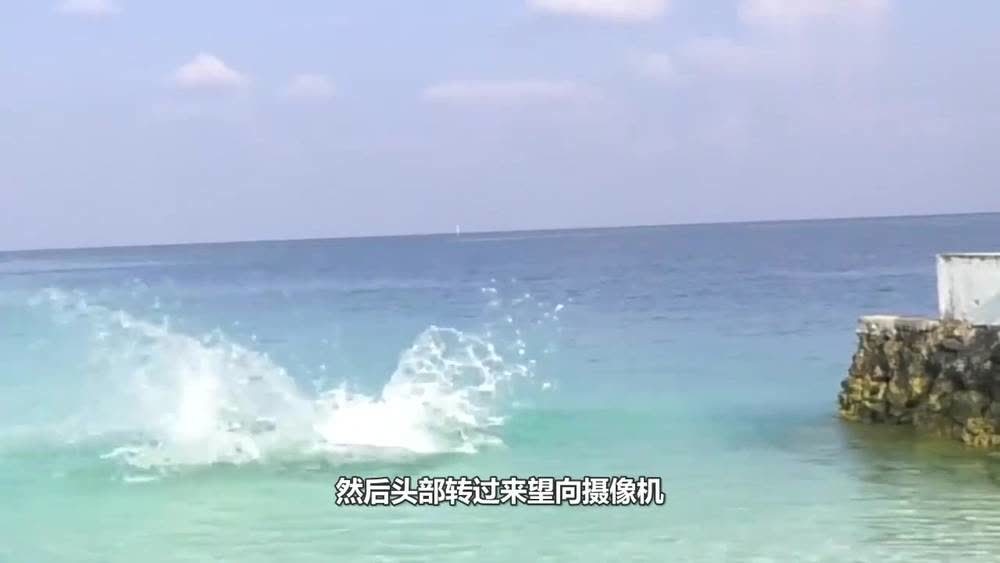 不用PS的情况下,如何拍出在水面行走的照片