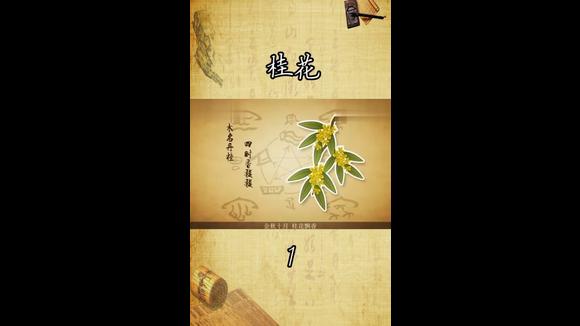 金秋十月,桂花飘香,原来桂花还有这等功效#养生#健康#科普#药材