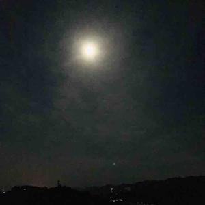 几杯懒散12 