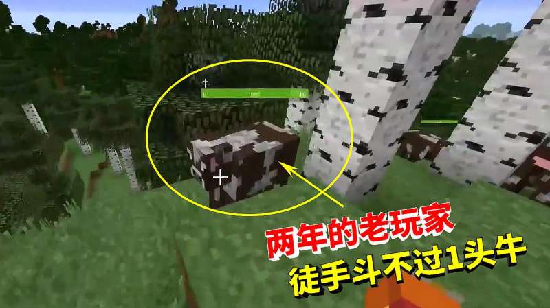 我的世界变形1：玩了两年的新手开启新系列，开局徒手斗不过1头牛