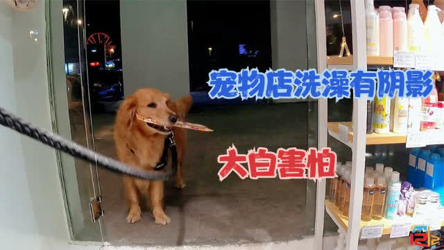 花120带狗狗到宠物店洗澡,洗完老板说下次不要来了