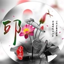 慎独之夜猫子 