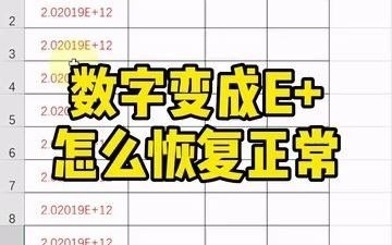 数字变成E+,该如何恢复?