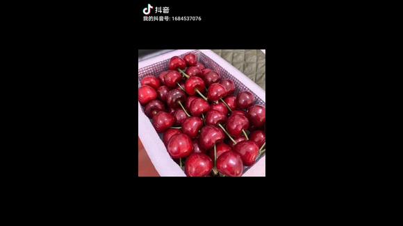 青岛EMS寻求各大电商平台大樱桃寄递合作商!