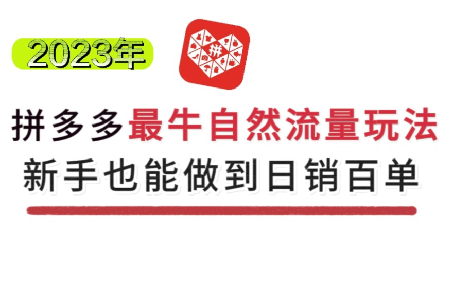 23年-最牛自然流量玩法,新手也能做到日销百单!
