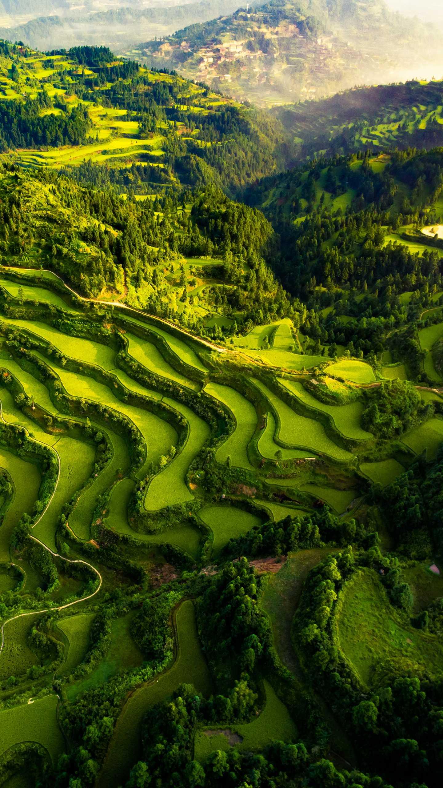 小刘观世界 