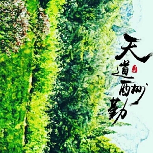 一只0欧姆小电阻 