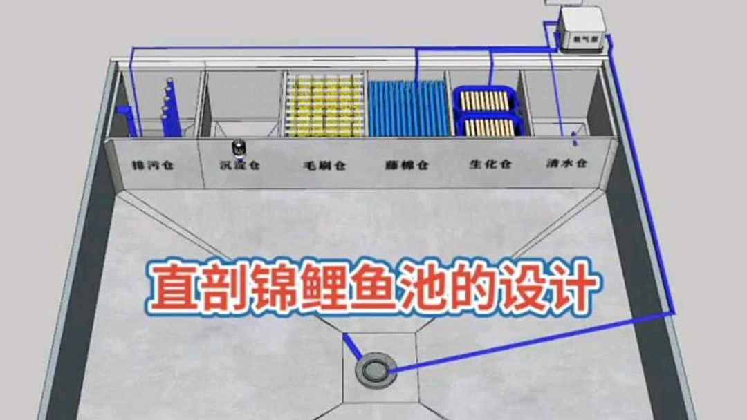 全网都在找的锦鲤鱼池过滤系统图纸送给你了,老司机带你建造鱼池