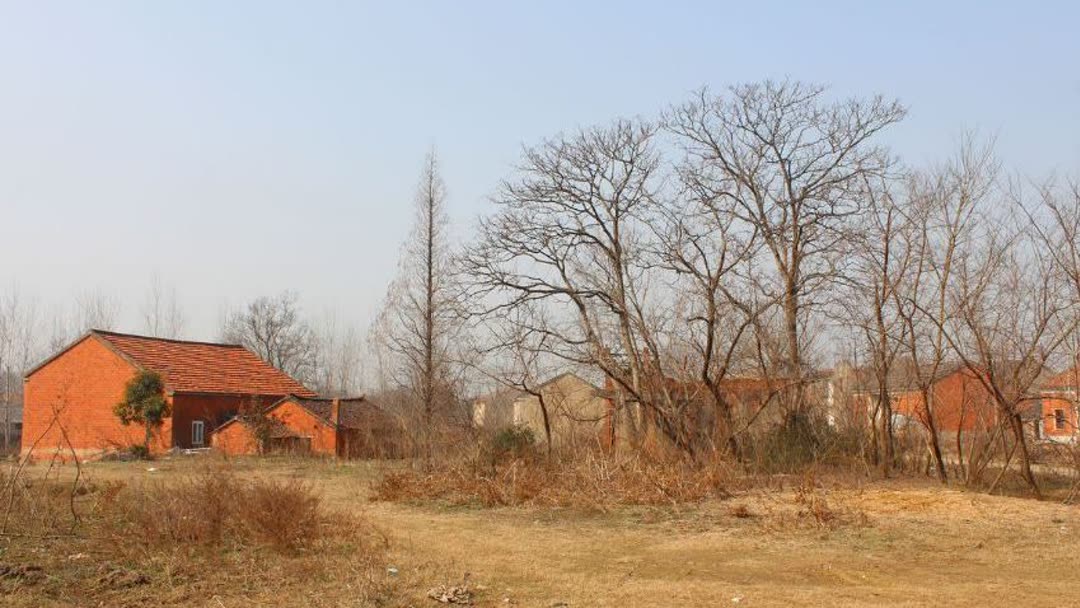 今年开始,国家对农村“统一建设”实施,这3类村,可获得补贴