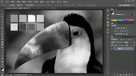 ps蒙版教程 平面设计工具 ps视频教程全集