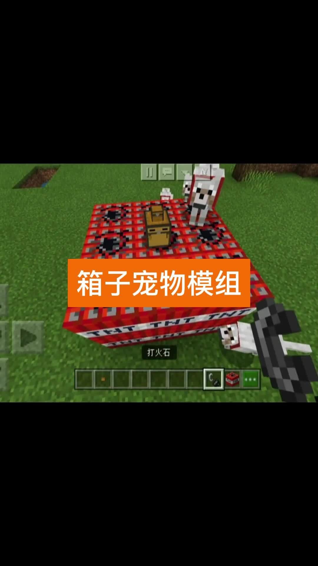 箱子宠物模组 我的世界