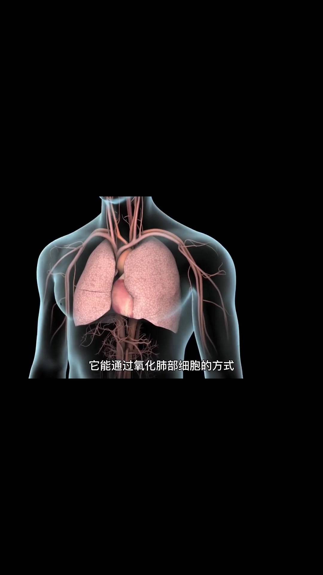 百枯草给了后悔的时间,却没有给后悔的机会