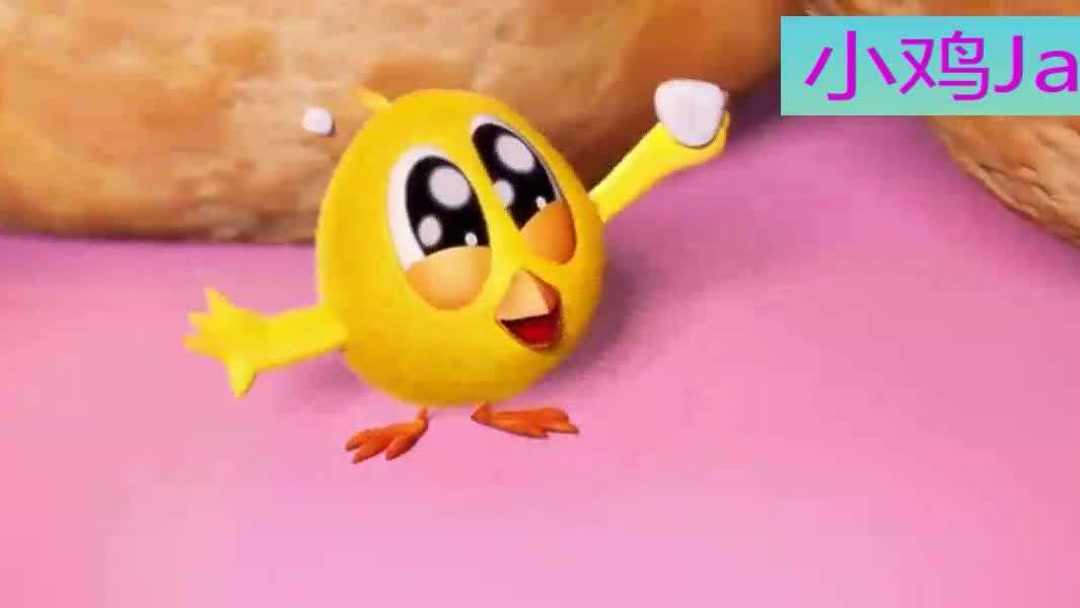 小鸡Jaki:吃货调皮小鸡的日常,真是又萌又可爱