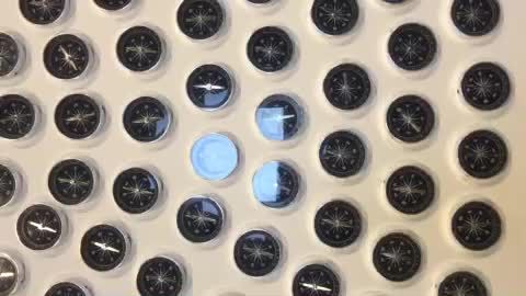 上千个指南针组成了一个神奇的面