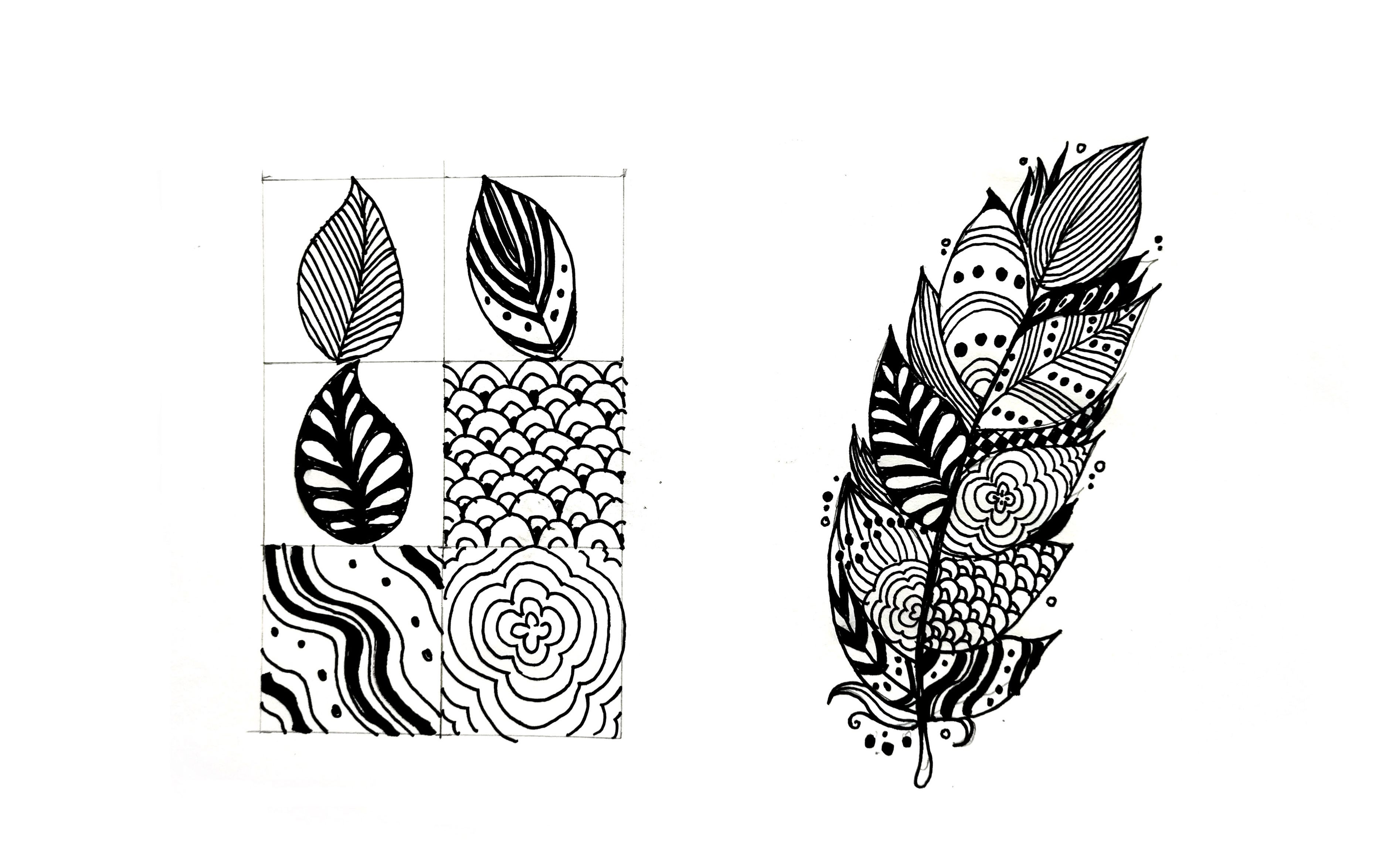 爱画插画的章鱼哥手把手教你:黑白禅绕画教学视频