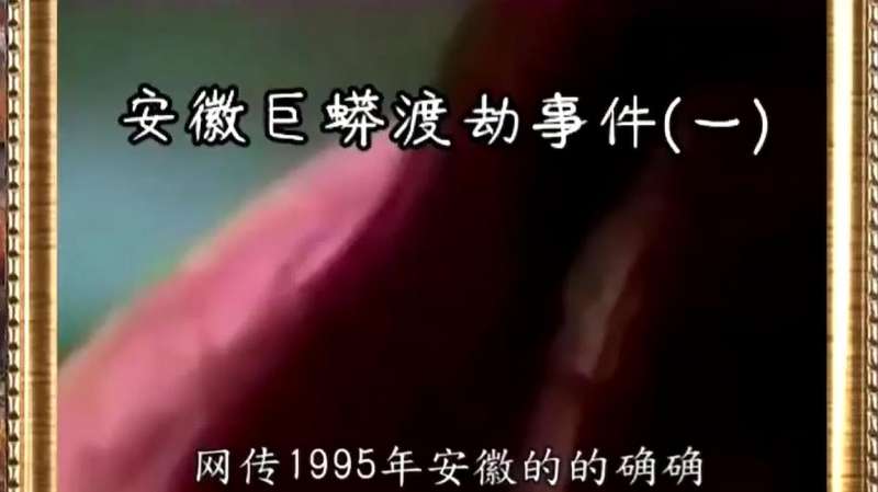 未解之谜:1995年安徽巨蟒渡劫事件,是真的吗?