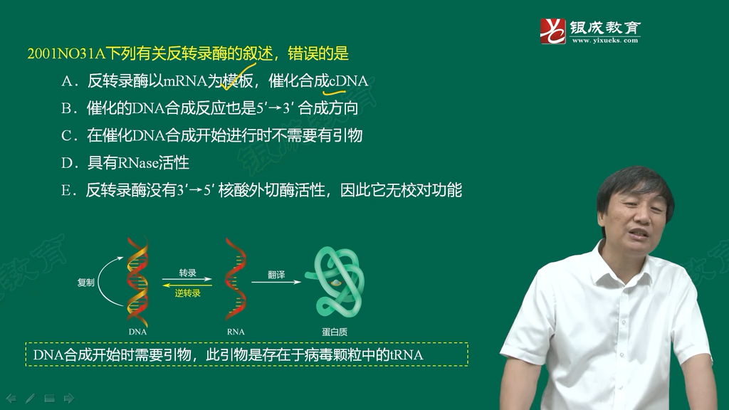 12.04真核生物DNA复制过程